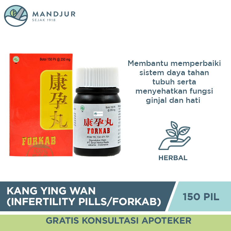 Jual Mandjur Kang Ying Wan Herbal [Cheng Yun Wan / Infertility Pills ...