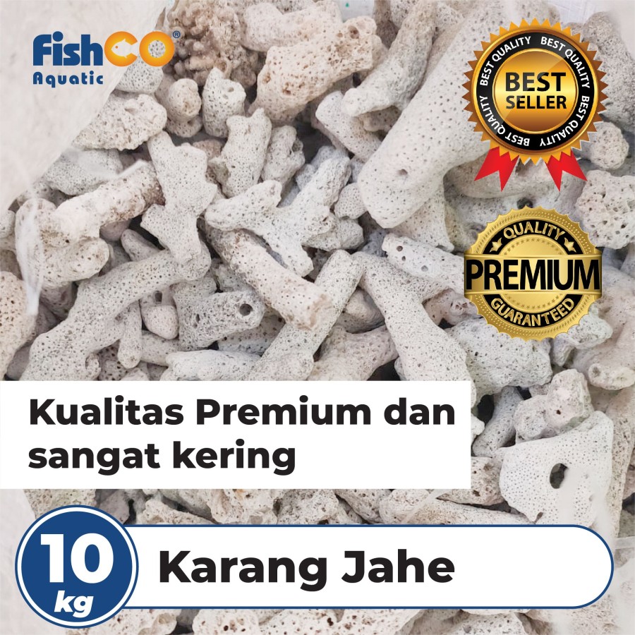 Jual Batu Karang Jahe Karungan Premium Media Filter Aquarium 10kg di ...
