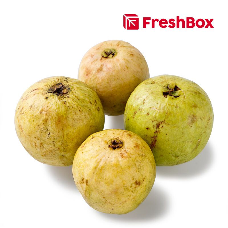 Promo Freshbox Jambu Biji Merah Buah [1 Kg/ 3 - 4 Pcs] Diskon 32% Di ...
