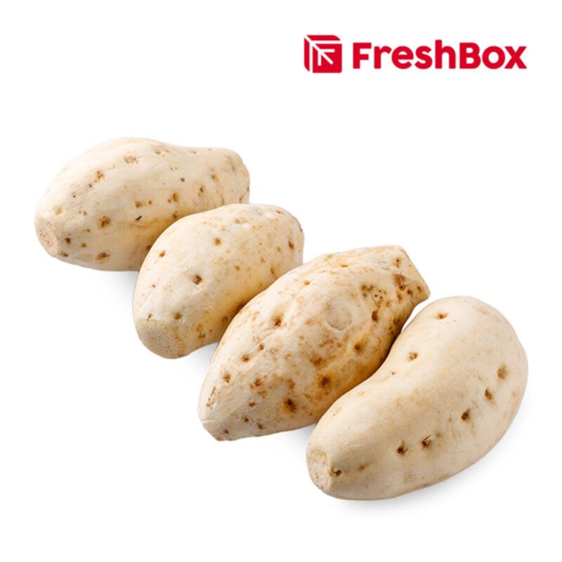 Promo FreshBox Ubi Putih [1 kg] Diskon 25% di Seller FreshBox ...