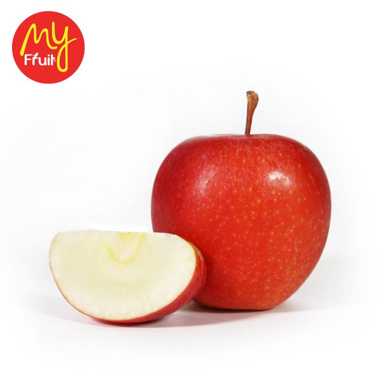 Promo My Fruit Apel Royal Gala Isi 3 Pcs Diskon 12% Di Seller My Fruit ...