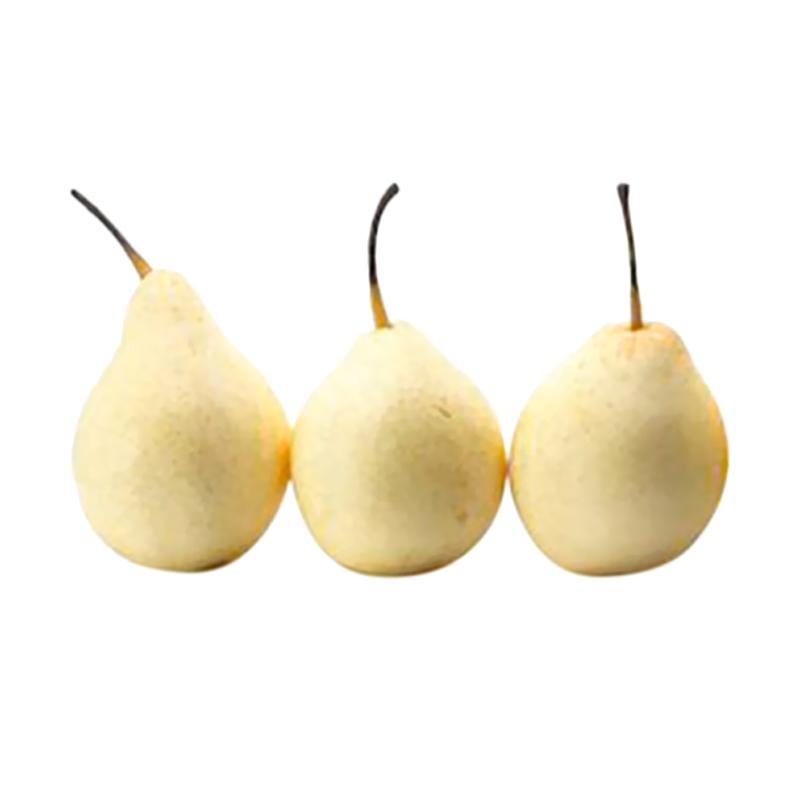 Jual My Fruit Pear Ya Lie Buah Isi 3 Pcs Di Seller My Fruit Official ...