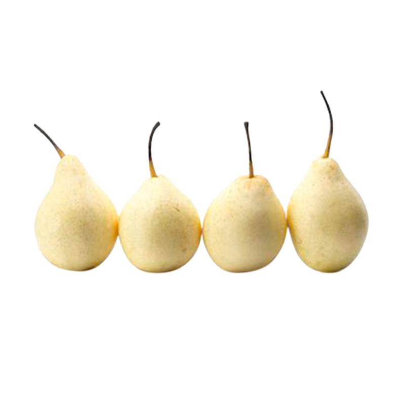 Jual My Fruit Pear Ya Lie Buah Isi 3 Pcs Di Seller My Fruit Official ...