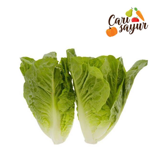 Promo CARI SAYUR - Lettuce Romaine [250 gr] Halal Diskon 64% di Seller ...