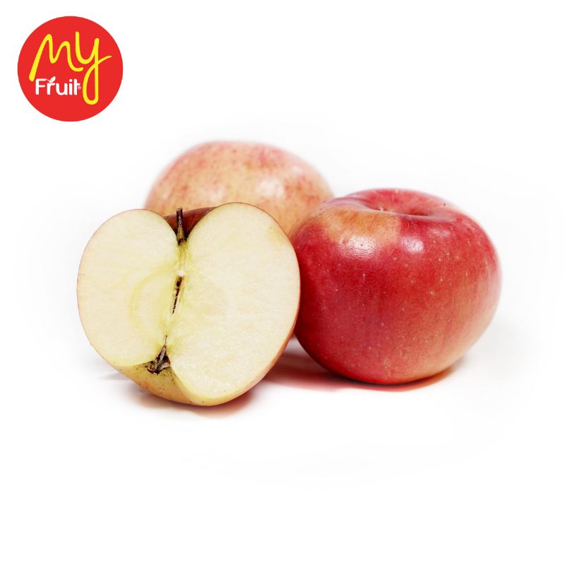 Promo My Fruit Apel Fuji China [800 G/ 7-9 Pcs] Diskon 30% Di Seller My ...