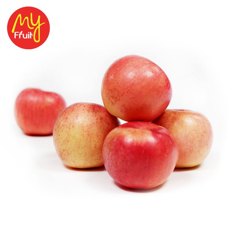 Promo My Fruit Apel Fuji China [800 G/ 7-9 Pcs] Diskon 30% Di Seller My ...