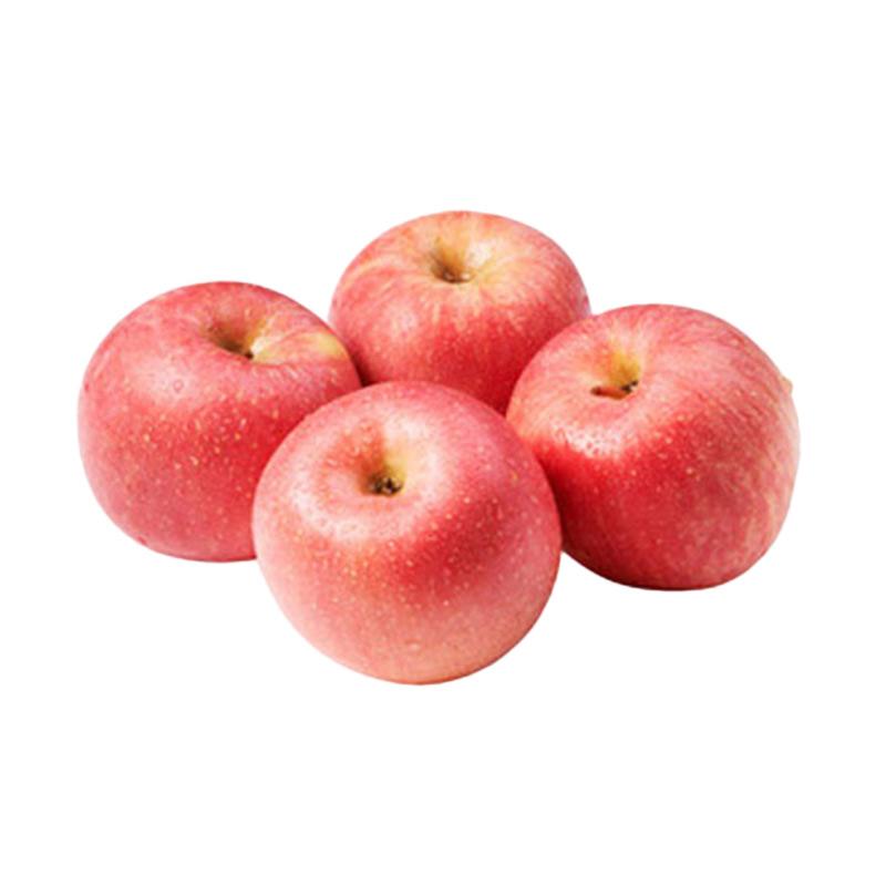 Promo My Fruit Apel Fuji China [800 G/ 7-9 Pcs] Diskon 30% Di Seller My ...
