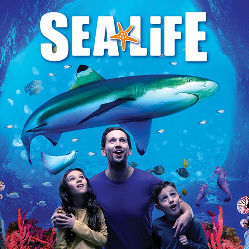 Jual Bliholiday Combo Legoland In Johor Bahru Admission 1 Day E-ticket ...