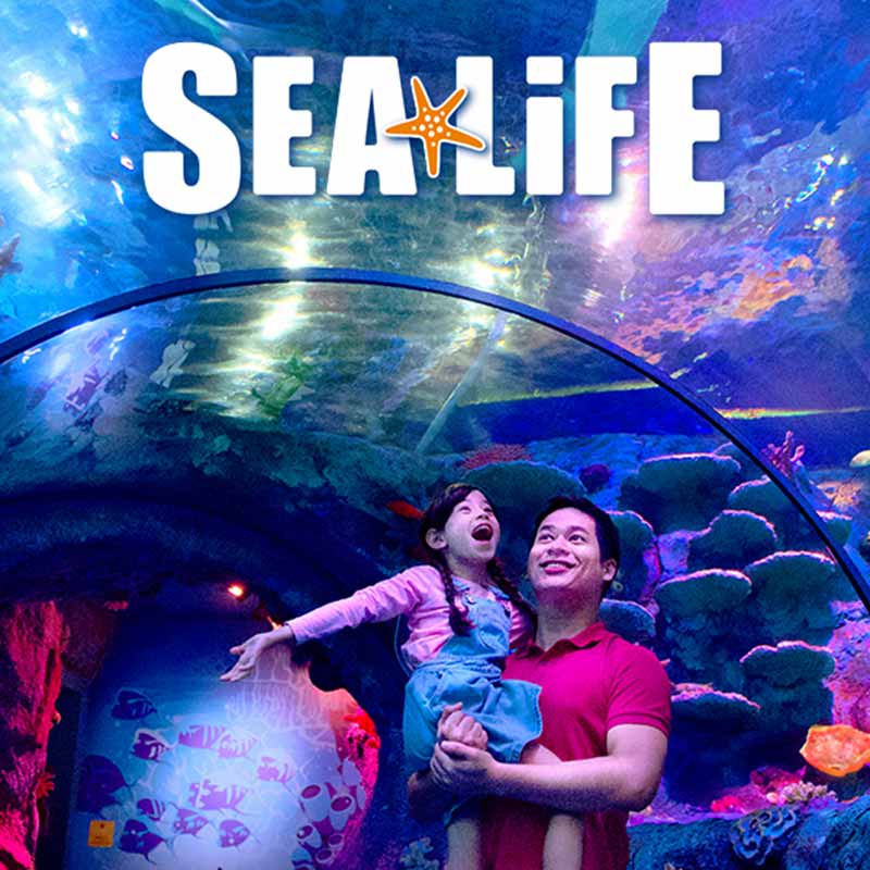 Jual Bliholiday Combo Legoland In Johor Bahru Admission 1 Day E-ticket ...