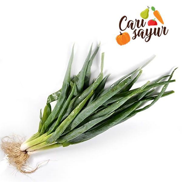 Jual CARI SAYUR - Daun Bawang [100 gr] di Seller Cari Sayur Official ...