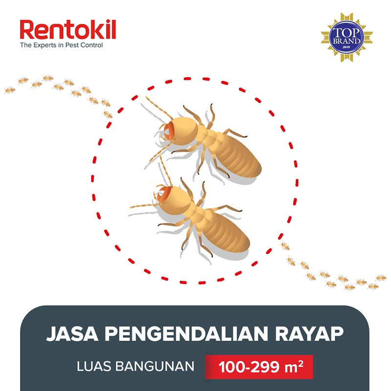 Jual Rentokil Indonesia Jasa Pengendalian Rayap Oleh Rentokil [luas ...