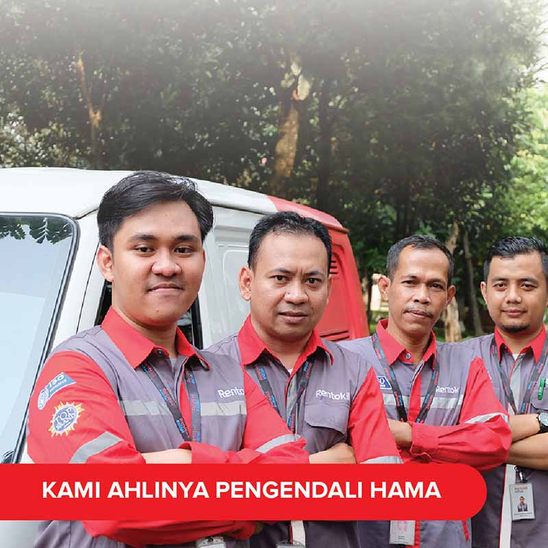 Jual Rentokil Indonesia Jasa Pengendalian Rayap Oleh Rentokil [luas ...