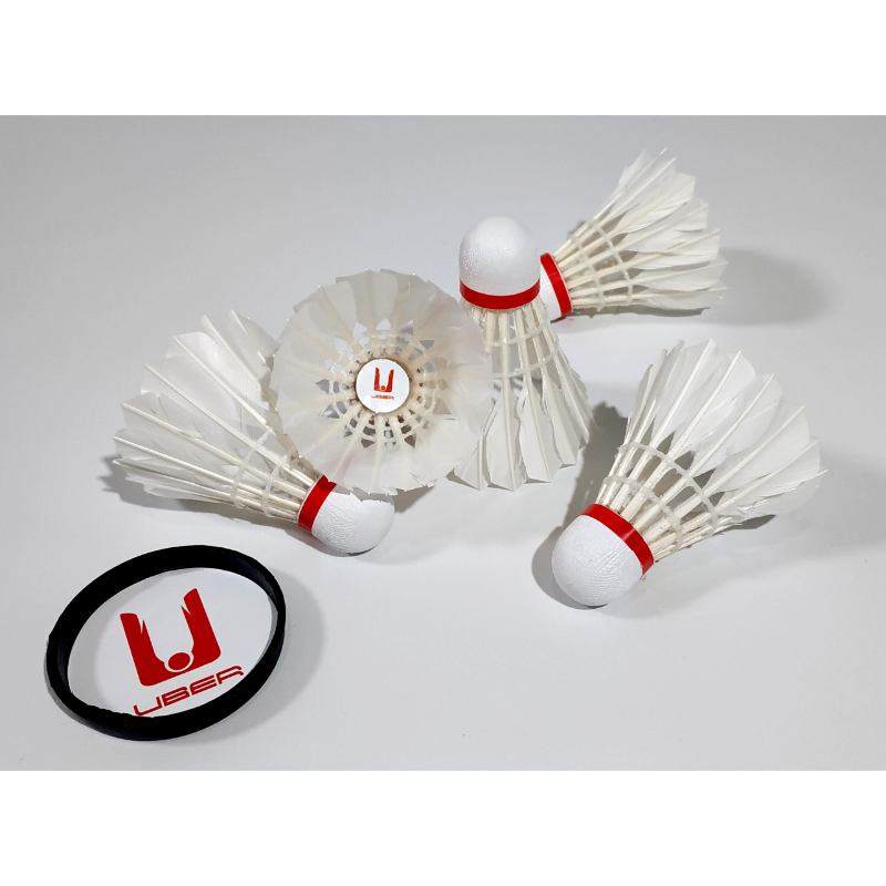 Merk Shuttlecock Terbaik, Merk Mana Favorit Kamu? - Blibli Friends