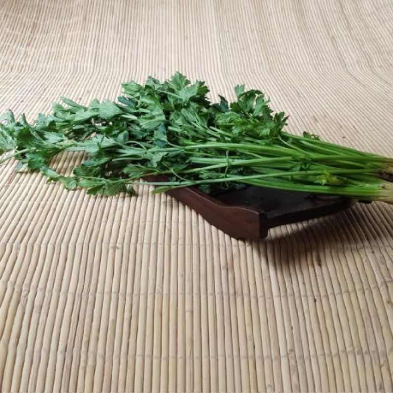 Jual KIARA VALLEY Seledri Sayur Organik Premium [1 Pack] Halal di ...