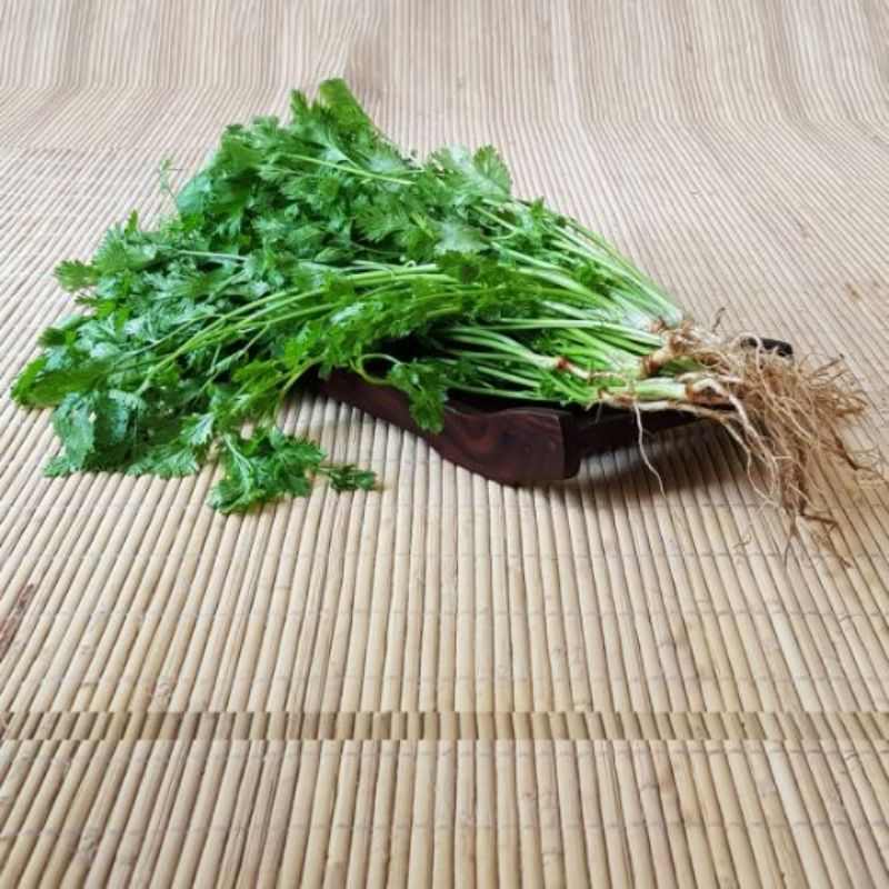 Jual Kiara Valley Sayur Organik Premium Daun Ketumbar Sayuran [+- 100 g ...