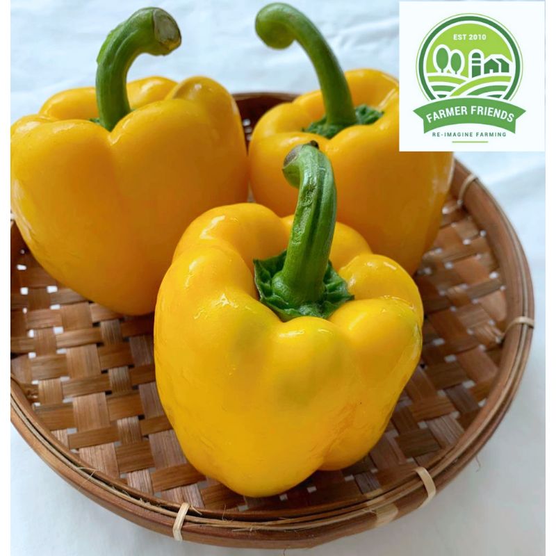 Jual Sayur Farmer Friends - Paprika Kuning (1 kg) di Seller PT. SAYURAN ...