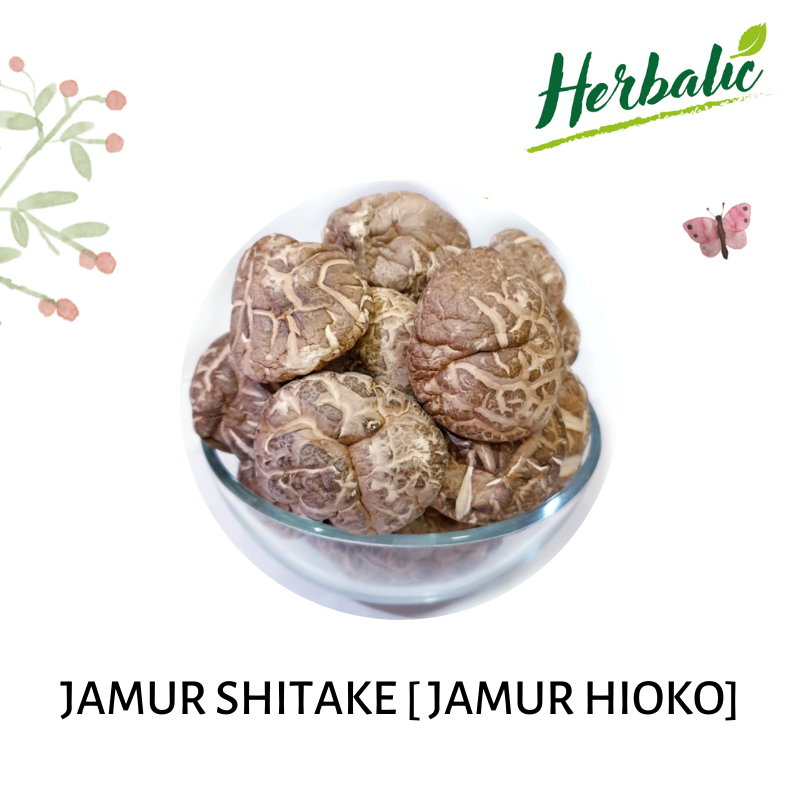 Jual Jamur Shitake Jamur Hioko Kering Uk Besar [250gr] di Seller ...