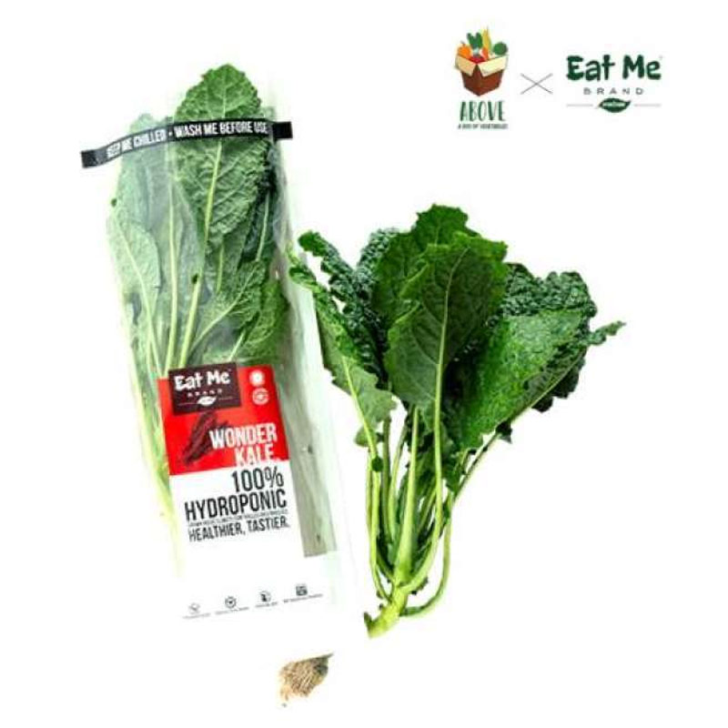 Jual Sayur ABOVE x EATME brand Wonder Kale Pack - Hidroponik Halal di ...