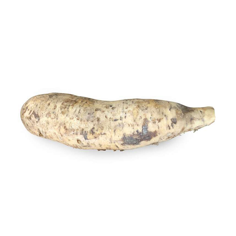 Jual Ubifresh [pasar Minggu] - Ubi Putih - 500 Gram Di Seller Ubifresh ...