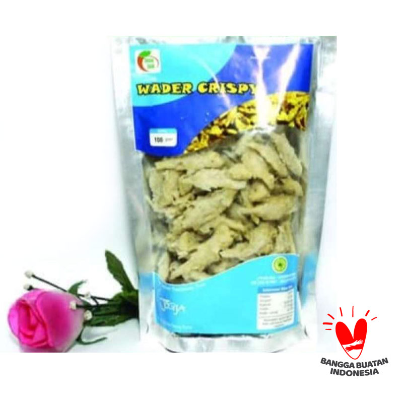 Jual fania food Olahan Ikan Wader Laut Putih Makanan Beku [100 g] di ...