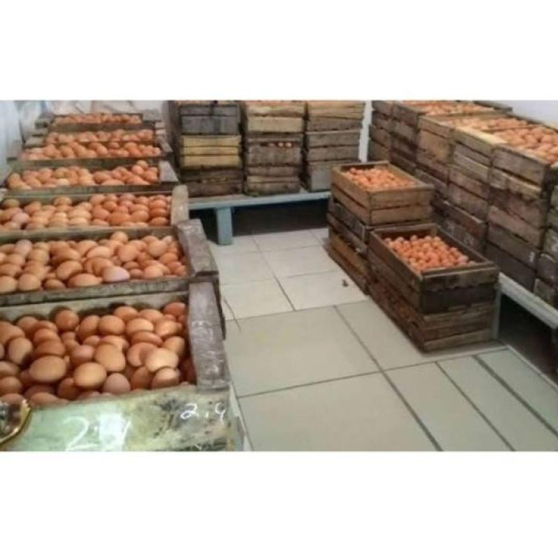 Jual jakarta sembako Telur Ayam Negeri Per Peti [15 Kg] di Seller Multi ...