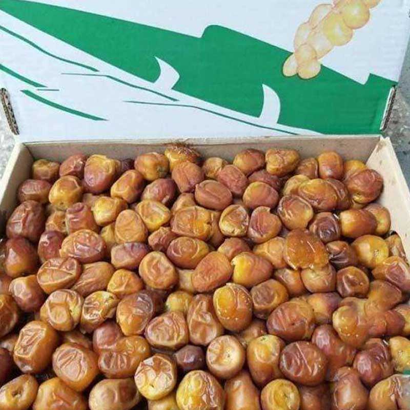 Jual Kurma Sukari Murah - Harga Grosir Mei 2024 | Blibli