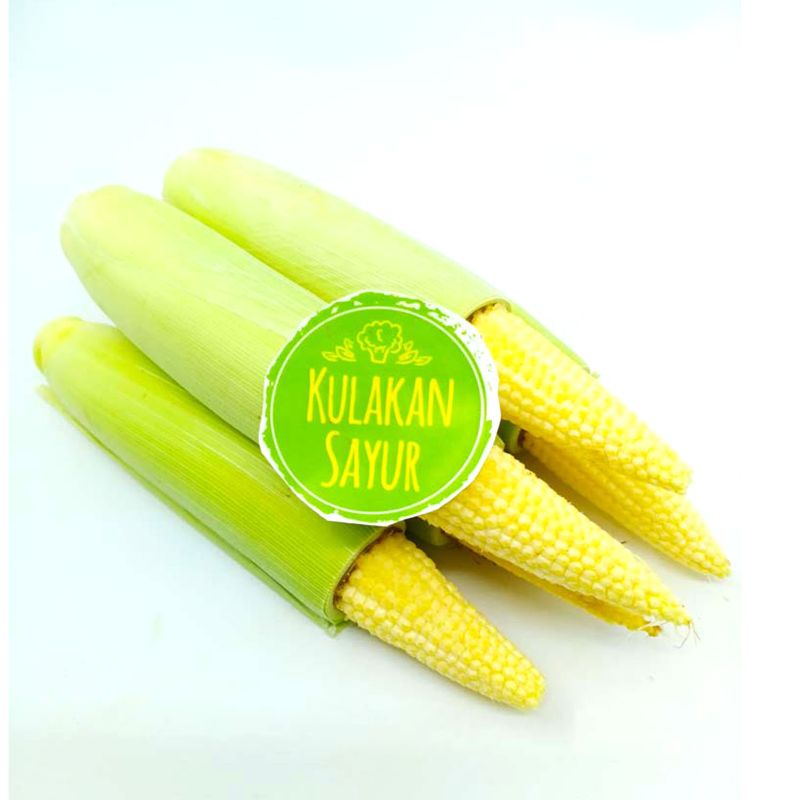 Jual Kulakan Sayur Jagung Muda [250g] Halal di Seller Kulakan Sayur ...