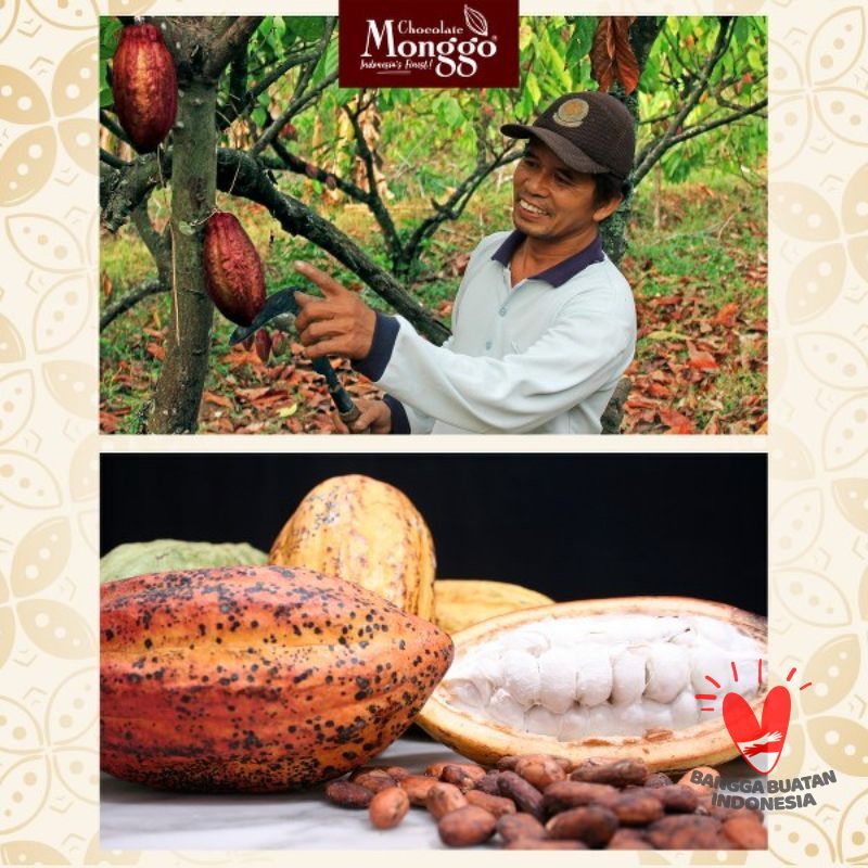 Jual Chocolate Monggo | Box All Variant 10 X Cokelat Bar 40g | Coklat ...