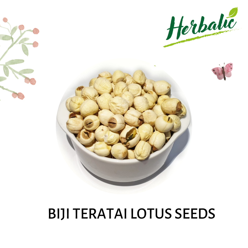 Jual Biji Teratai Lotus Seeds Lien Zi Uk Besar [250gram] di Seller ...