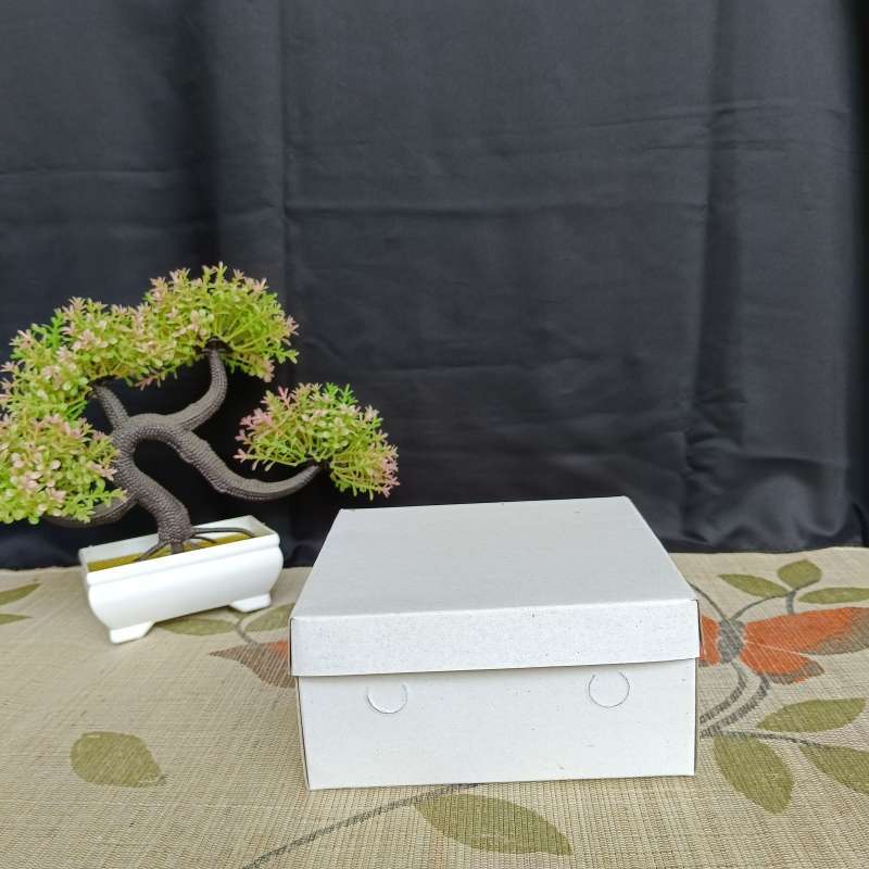 Jual Dus Makanan / Dus Nasi / Box Nasi / Dus Polos 310 Biasa Ukuran ...