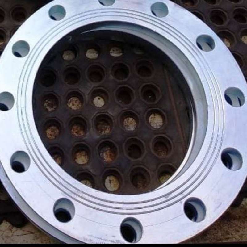 Jual Flange Galvanis 8 Inch Std / Flange Standard Galvanis 8 Inch Di ...