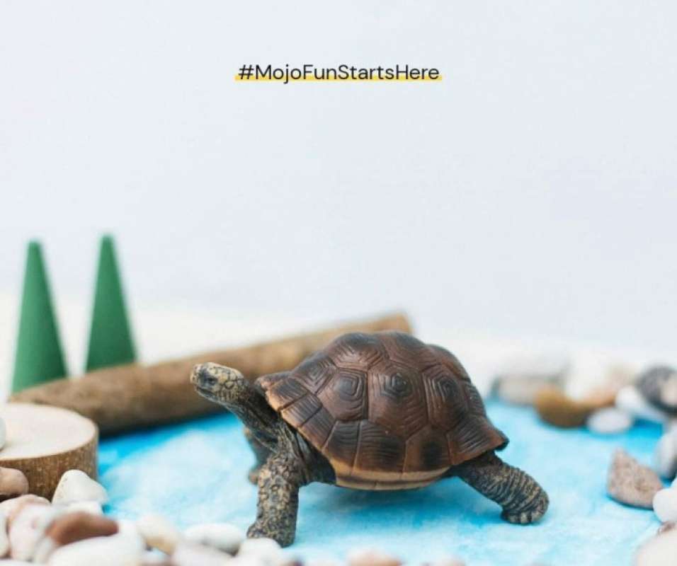 Promo mojo fun giant tortoise / turtle / kura-kura - wildlife ...