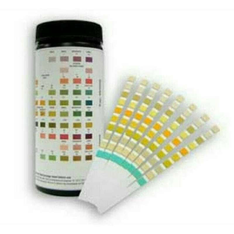 Jual Verify 10 Parameter Urinalysis Reagent Strip Tes Urin 10pe 10pm Pm ...