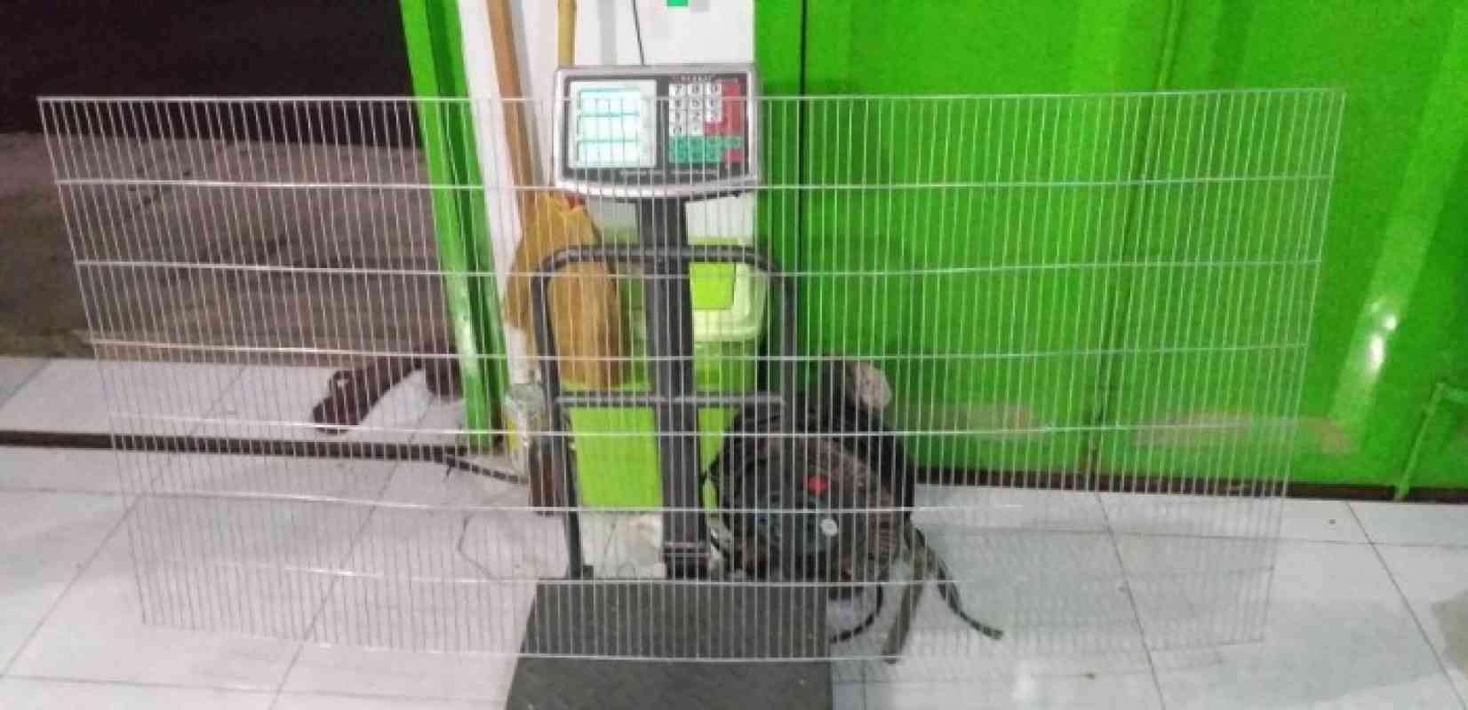 Jual ram galvanis p150x70cm / ram sekat pagar kandang besi hewan ...