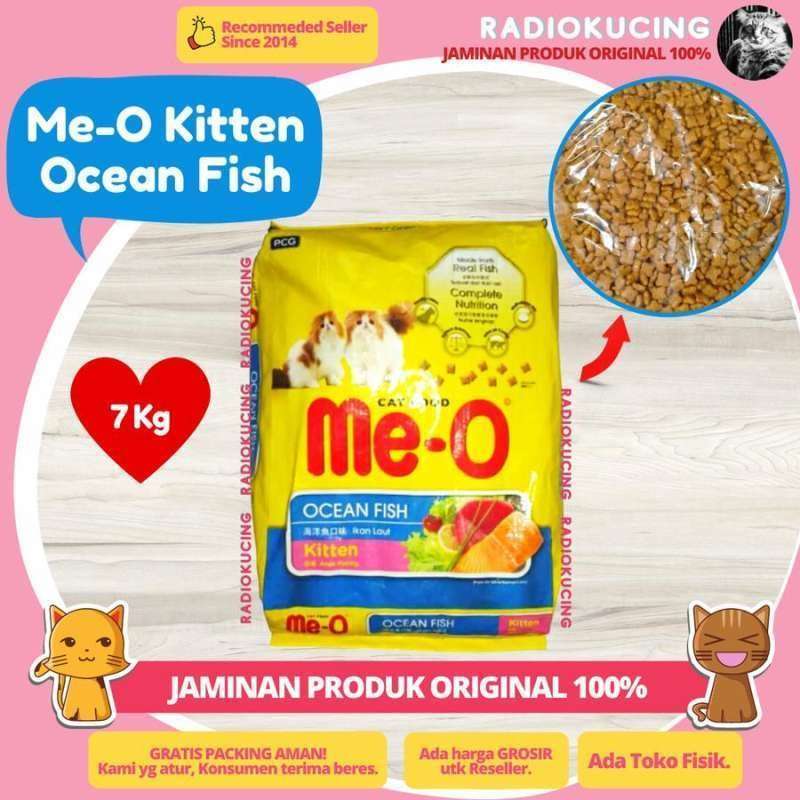 Jual Meo Kitten Karung Terdekat 🏷️ Harga Grosir Murah Terupdate Hari ...