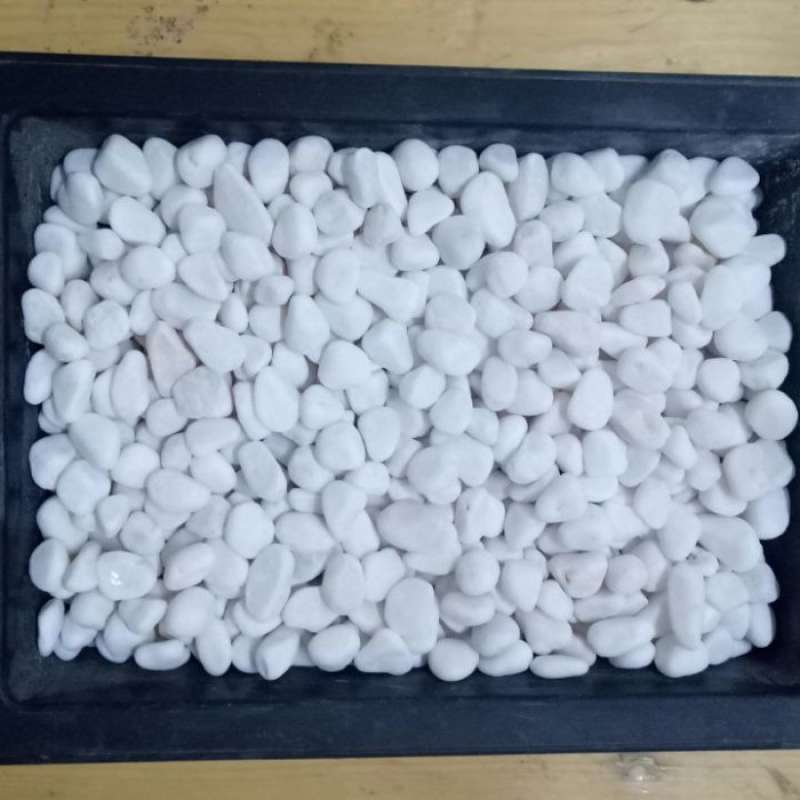 Jual Batu Putih Salju 10 Kg (batu Alam Koral Sikat Hias Taman) Di Seller Zenonn Shop - Wanasari ...