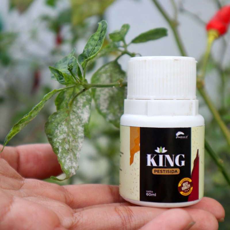 Promo Obat Hama Tanaman Pekatan King Pestisida 60ml Diskon 30% di ...