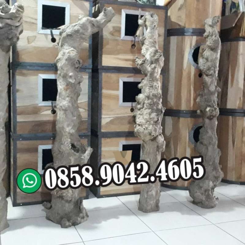 Jual Kayu kopi tanpa dahan diameter tebal di Seller Goofy Petshop ...