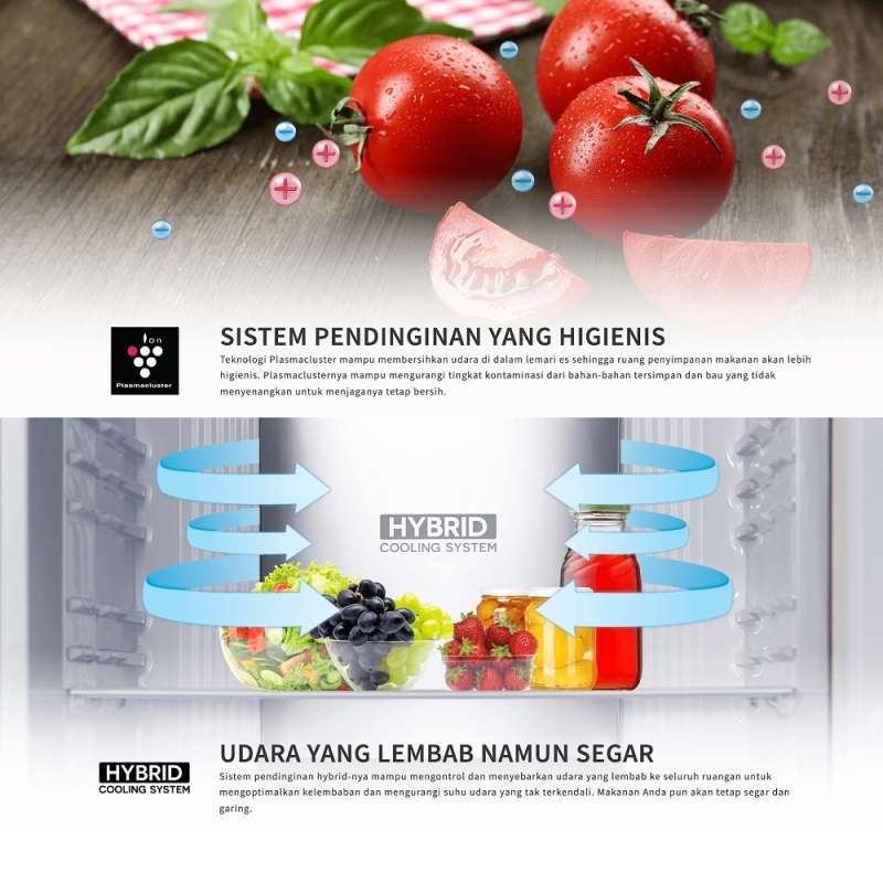 Promo Sharp Sj-ig571pg-bk Kulkas 2 Pintu Grand Vetro Series J-tech ...