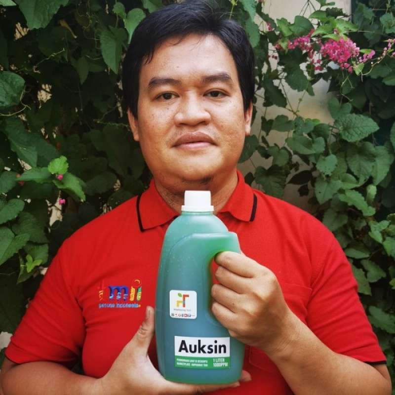 Promo Hormon Tanaman Auksin 1 Liter Memperbesar Dan Memanjangkan Akar ...