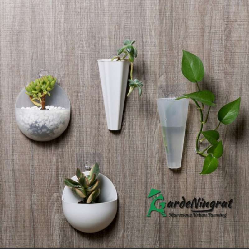 Jual Pot/Vas Gantung Tempel Dinding Untuk Indoor Plant / Tillandsia di ...