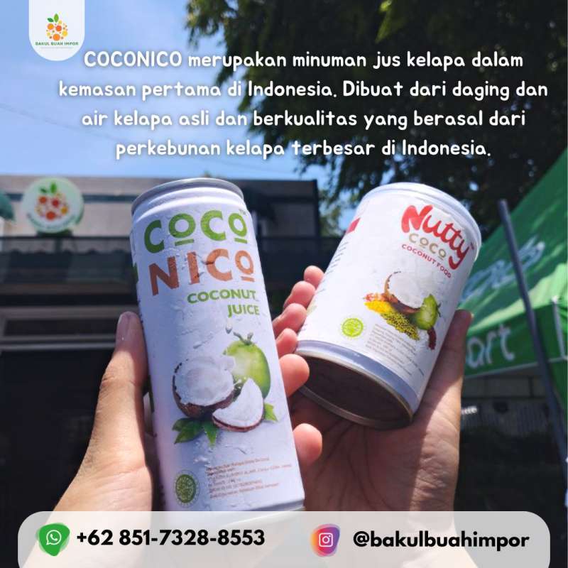 Promo Coco Nico Minuman Air [kelapa Asli Indonesia [245 Ml] Diskon 1% ...