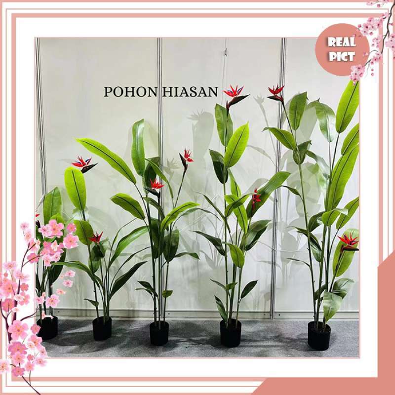 Promo UNICO PBP187 Pohon Pisang Hias Tinggi 1.2 Meter Dan 1.8 Meter ...