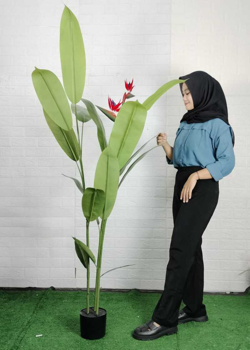 Promo UNICO PBP187 Pohon Pisang Hias Tinggi 1.2 Meter Dan 1.8 Meter ...