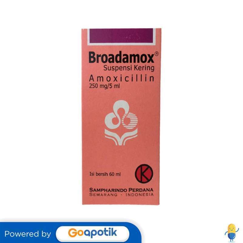 Jual BROADAMOX 250 MG/5 ML DRY SYRUP 60 ML di Seller Apotek Indra ...