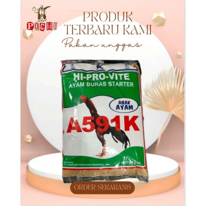 Jual Pakan Anak Ayam A591 Termurah - Harga Grosir Terupdate Hari Ini ...