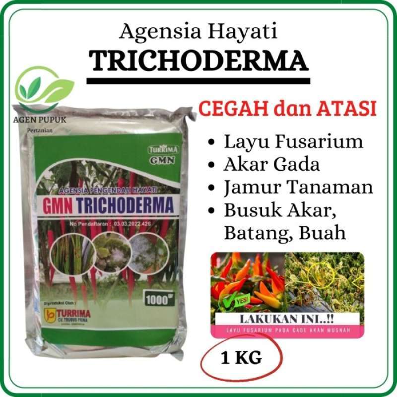 Promo Fungsida Tricoderma Pencegah Layu Fusarium, Trichoderma Pupuk ...