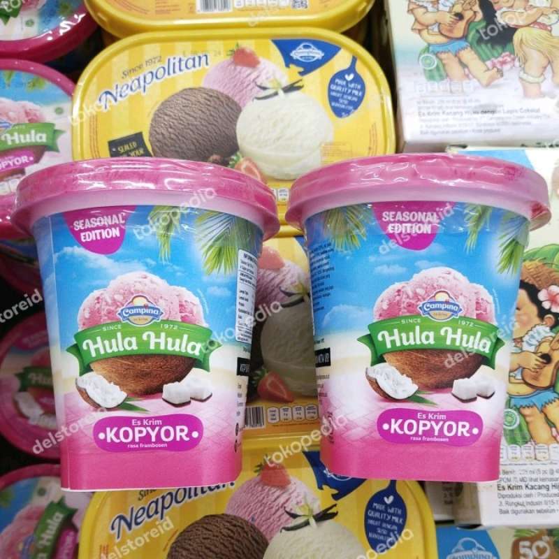 Jual Campina Ice Cream Hula-hula Rasa Kopyor 350 Ml Di Seller Supermart ...