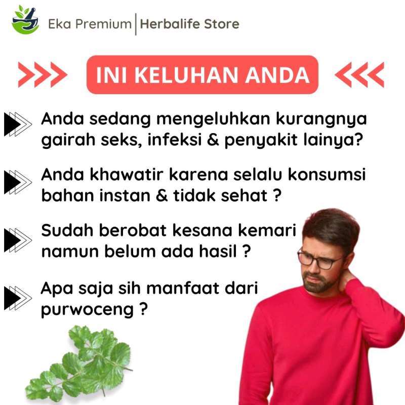 Promo Purwoceng Bubuk Purwaceng Kering Ramuan Rempah Herbal Asli Jamu ...