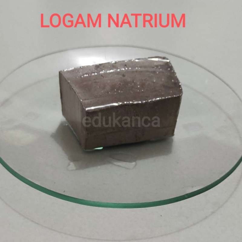 Promo Logam Natrium 50 Gr Diskon 33% Di Seller Danmart - Pondok Pinang ...